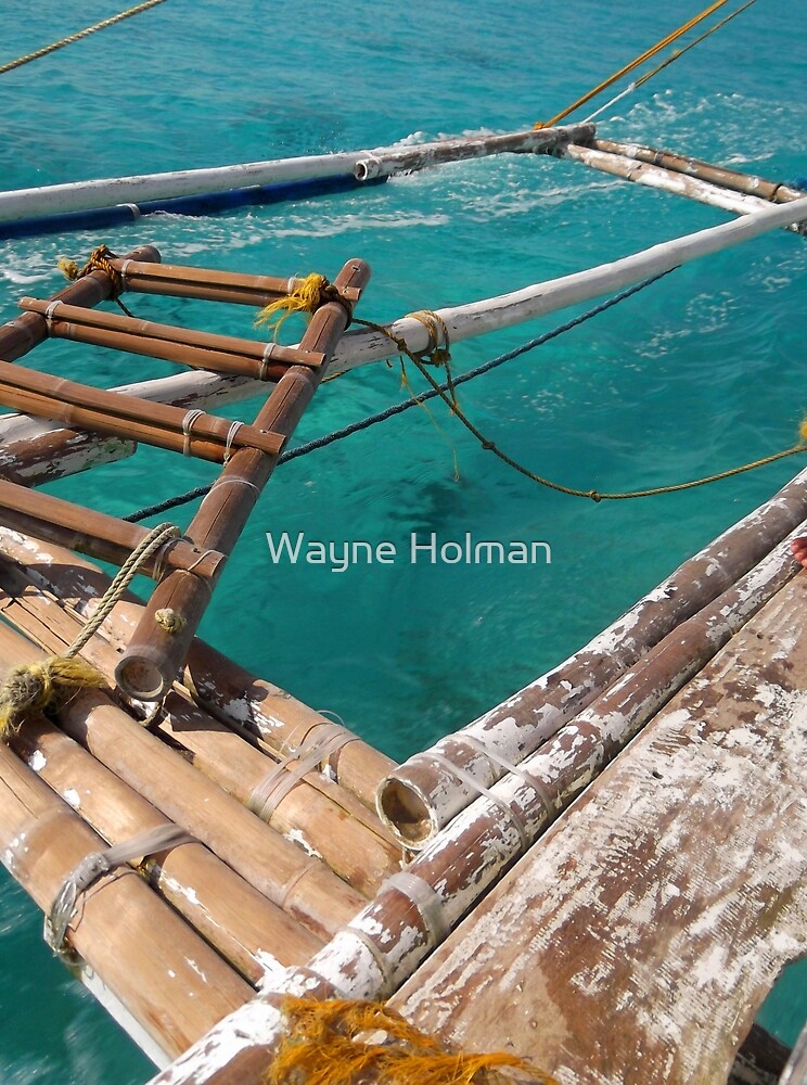 "Into the Blue" by Wayne Holman | Redbubble