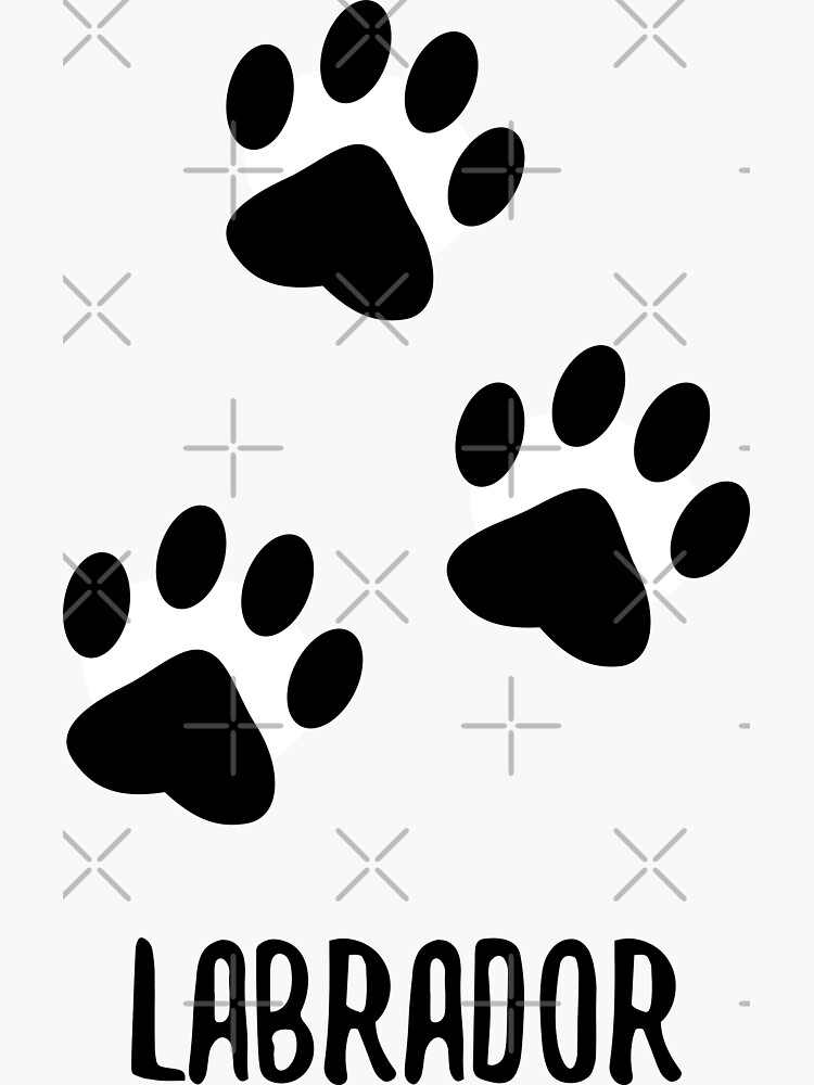 "Labrador Paw Print Seal" Sticker by chanzds | Redbubble