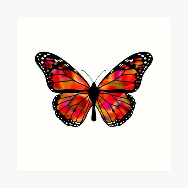 "Butterfly : Red & Orange Aesthetic" Art Print for Sale by ...