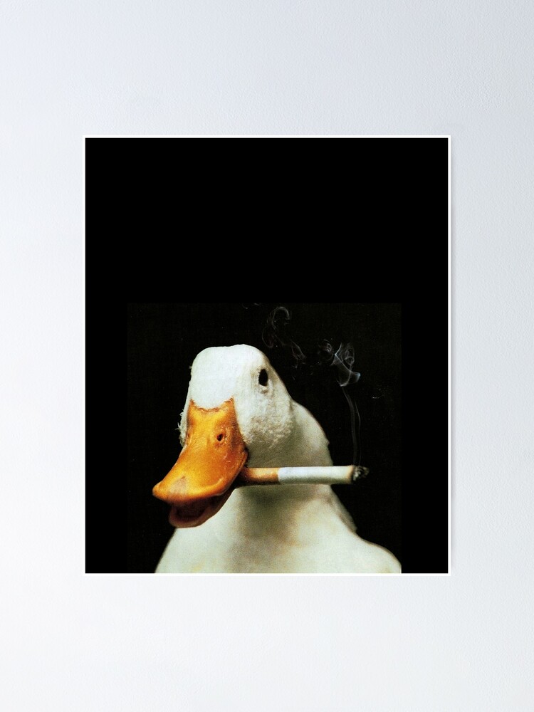 "It Looks Just As Stupid When You Do It Cool Duck Smoking" Poster for ...