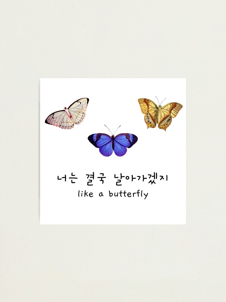 "Nevertheless in the end you will fly like a butterfly " Photographic ...