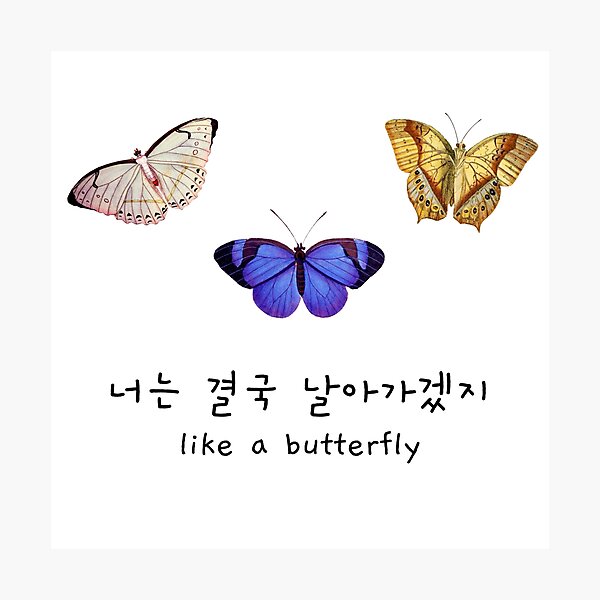 "Nevertheless in the end you will fly like a butterfly " Photographic ...