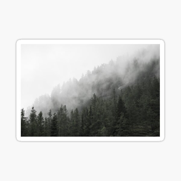 "Forest Treetops in Fog" Sticker for Sale by Gbeauty | Redbubble