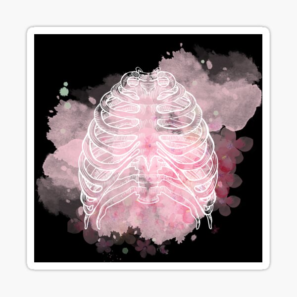 "Floral Rib Cage" Sticker for Sale by 8December | Redbubble