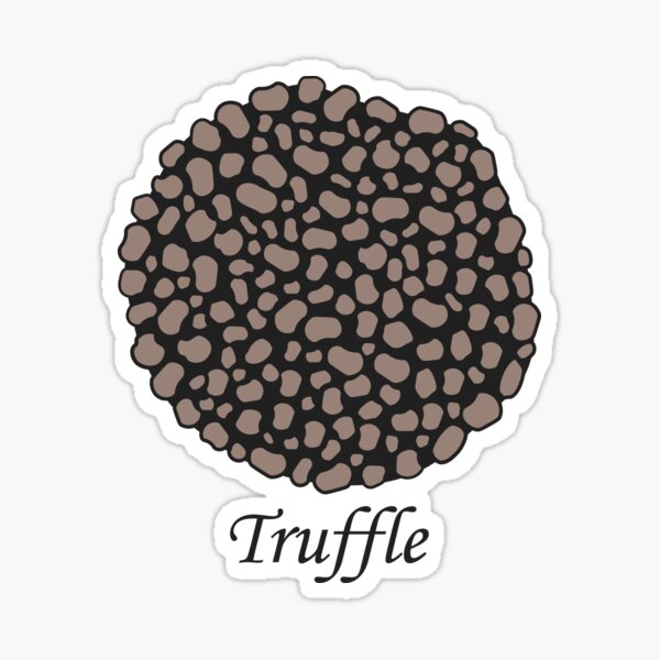 "Truffle mushroom illustration design. Black truffle Luxury Foodie ...