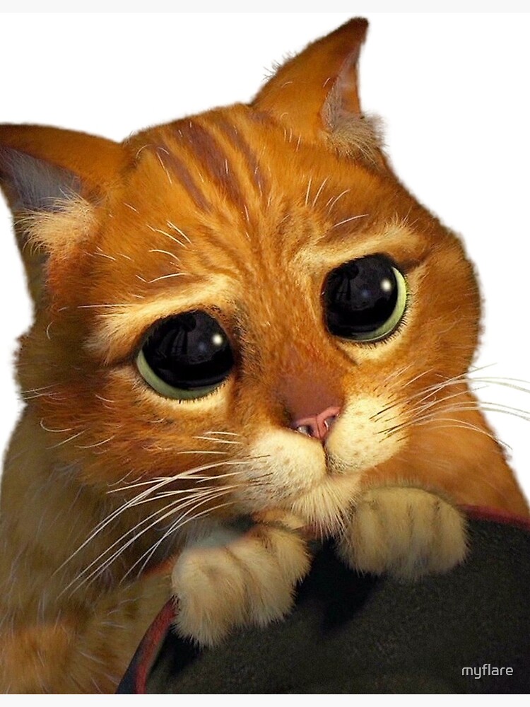 "Cute Shrek Cat" Poster for Sale by myflare | Redbubble