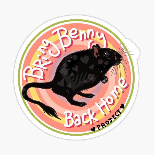 "Bring Benny Back Home Project" Sticker by SamWildflower | Redbubble