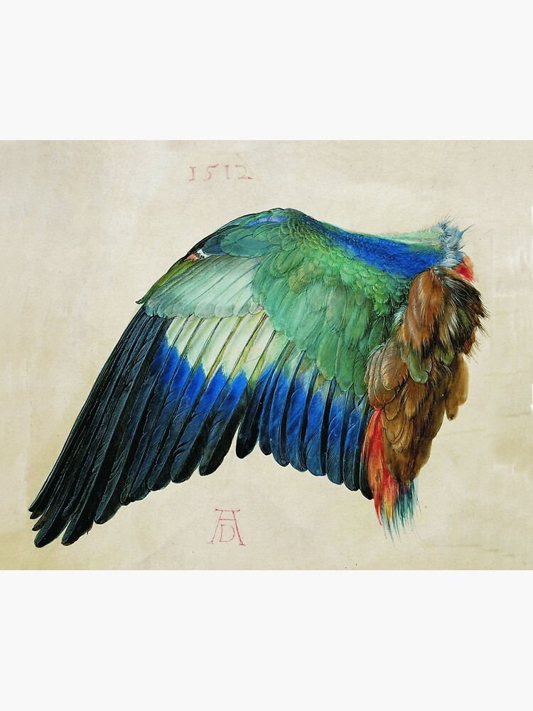 "Albrecht Dürer - Wing of a Roller 1512" Art Print for Sale by ...