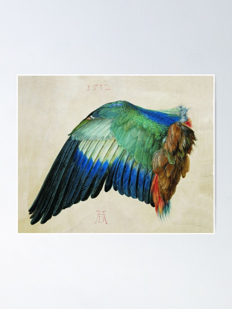 "Albrecht Dürer - Wing of a Roller 1512" Poster by billythekidtees ...