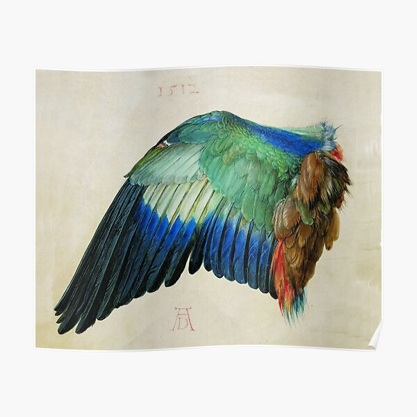 "Albrecht Dürer - Wing of a Roller 1512" Poster by billythekidtees ...