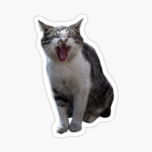 "Yawning Cat" Sticker by AlphaAnimals | Redbubble