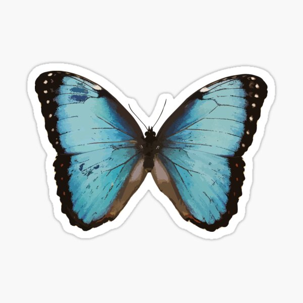 "Blue Morpho Butterfly" Sticker by l-redfern | Redbubble