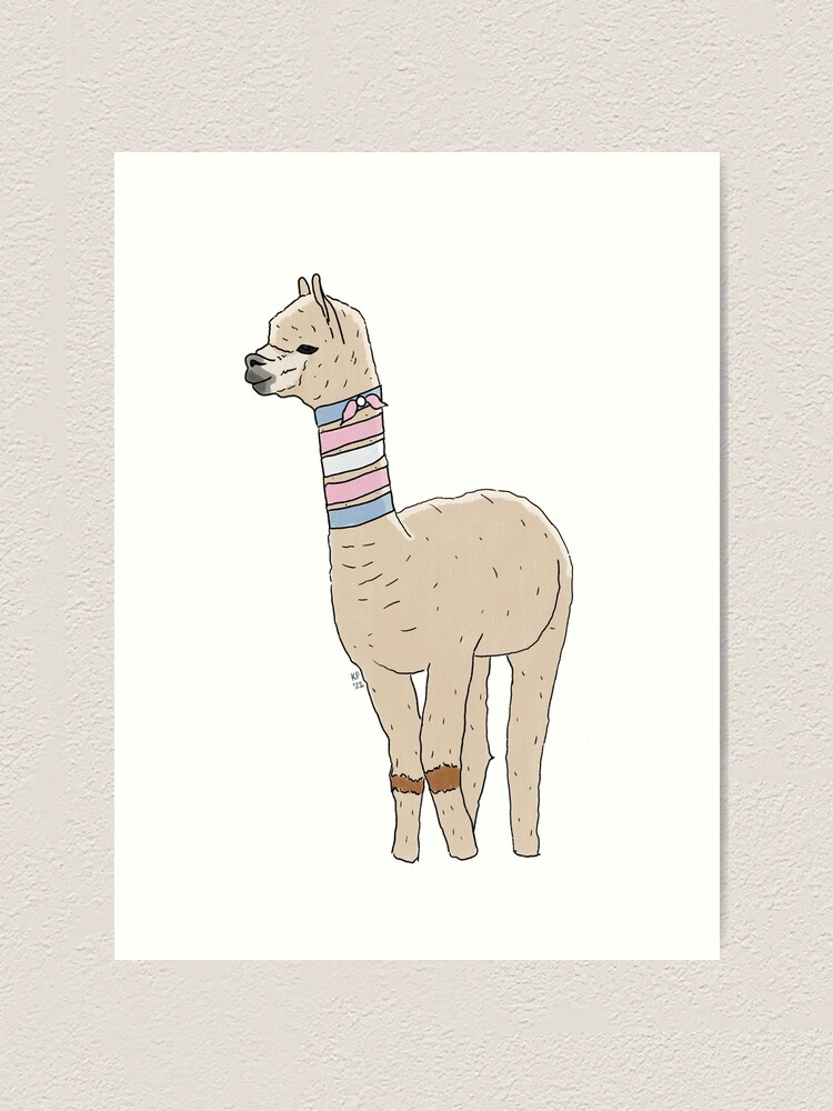 Lámina artística «Bandera de orgullo trans de dibujos animados de llama ...
