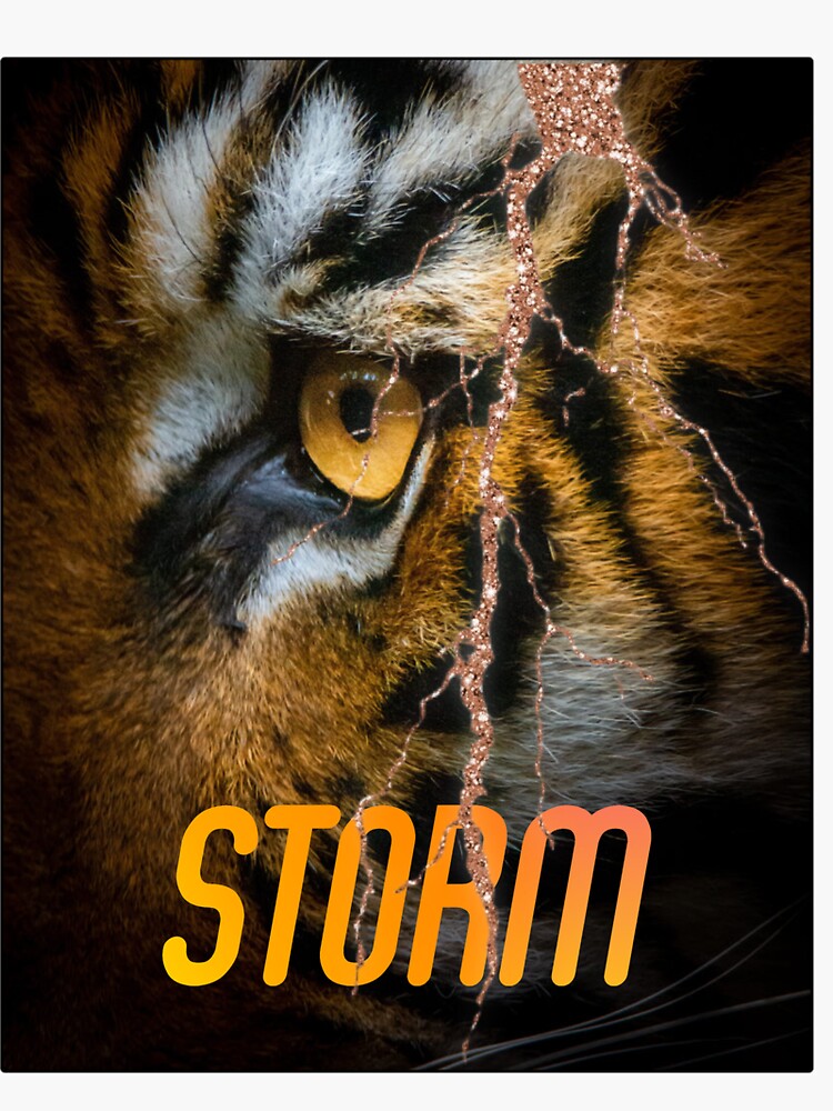"Tiger Storm" Sticker by Hyper007 | Redbubble