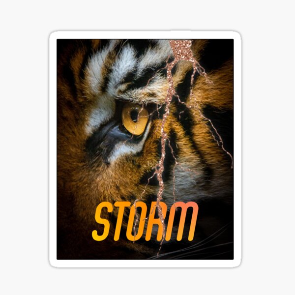"Tiger Storm" Sticker by Hyper007 | Redbubble