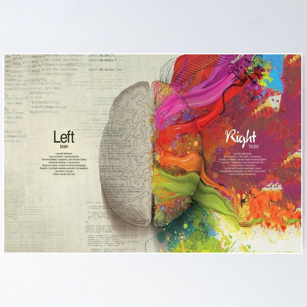 "Left Brain Right Brain Psychology Science Infographic | School ...