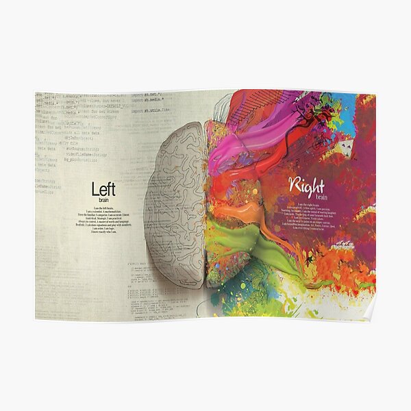 "Left Brain Right Brain Psychology Science Infographic | School ...