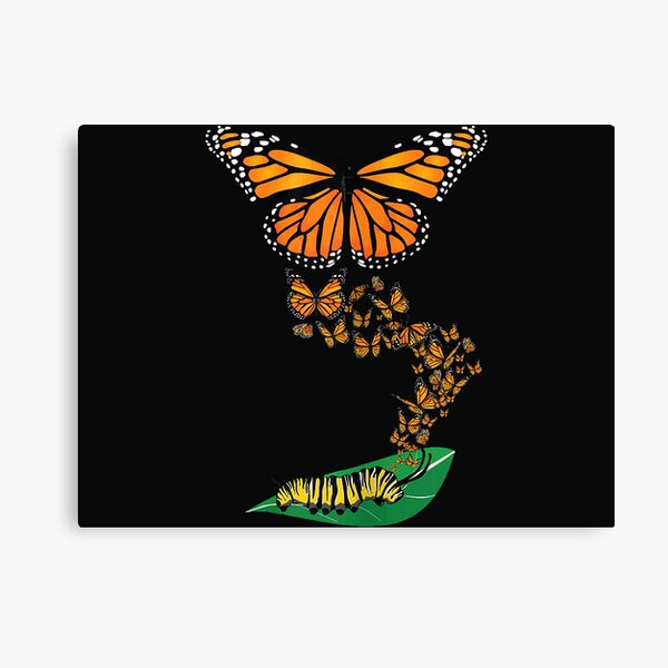 Paper Wood cut outs Butterflies galore matte photo finish Papercraft ...