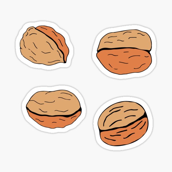 "Walnuts Flavor Design " Sticker by TasseCreative | Redbubble