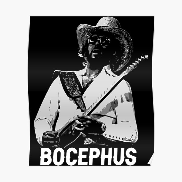 "Bocephus - Hank Williams Jr - art Stencil" Poster for Sale by ...