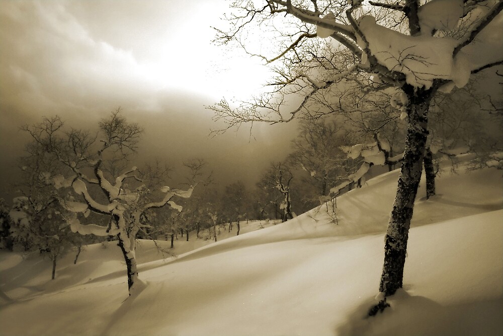 "Asahi Dake Powder Fields" by Robert Mullner | Redbubble
