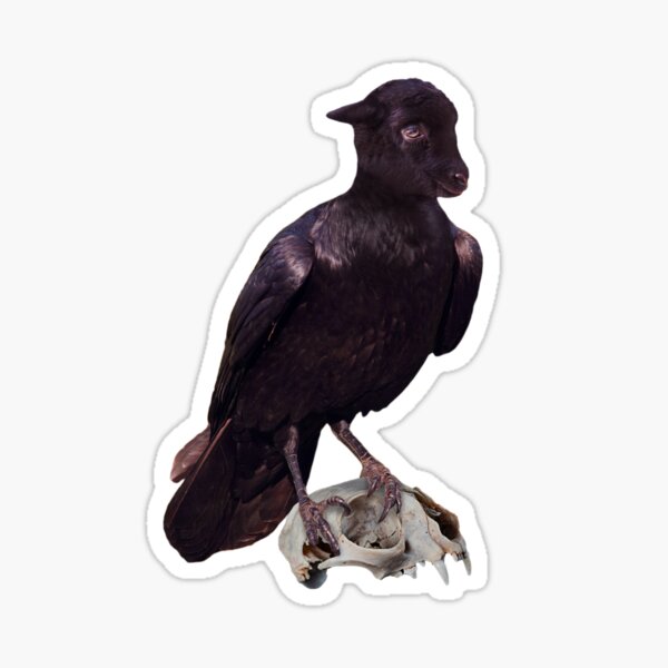 "Raven with a lamb head and cat head in its claws" Sticker by ...