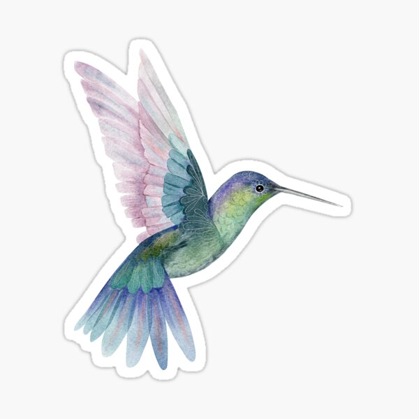 "Hummingbird Tropical Exotic Animals Birds Watercolor Parrot " Sticker ...