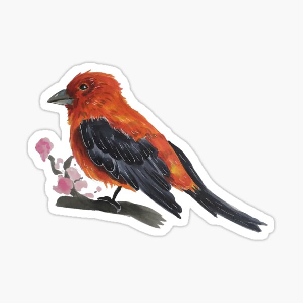 "Vermilion Flycatcher" Sticker for Sale by sinamonroll | Redbubble