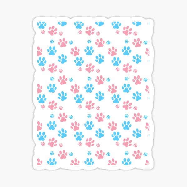 "Dog Paw Prints Trans. Transgender Pride" Sticker by ClimbingTees ...