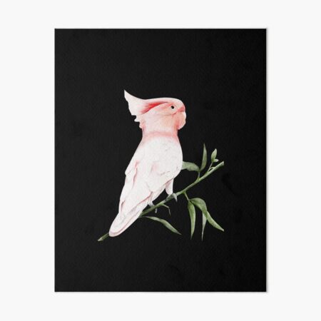 "Major Mitchells Pink Parrot Tropical Exotic Animals Birds Watercolor ...