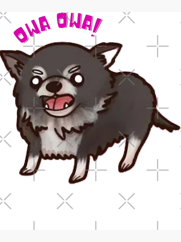 Lámina fotográfica «El mejor enfoque de Owa Owa para cada tipo de ...