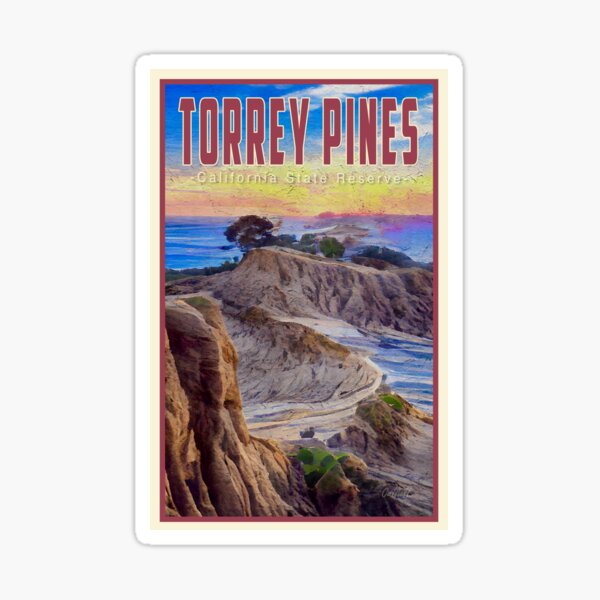 "Very Pretty Torrey Pines State Preserve Travel California" Sticker for ...