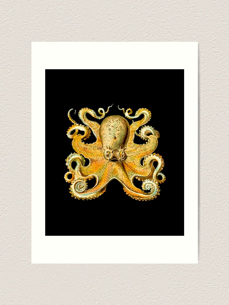 "Angry Octopus" Art Print for Sale by SwimSashimi | Redbubble