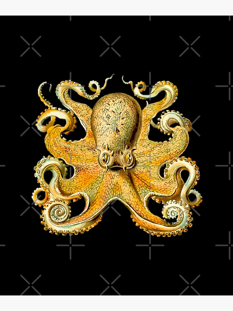 "Angry Octopus" Poster for Sale by SwimSashimi | Redbubble