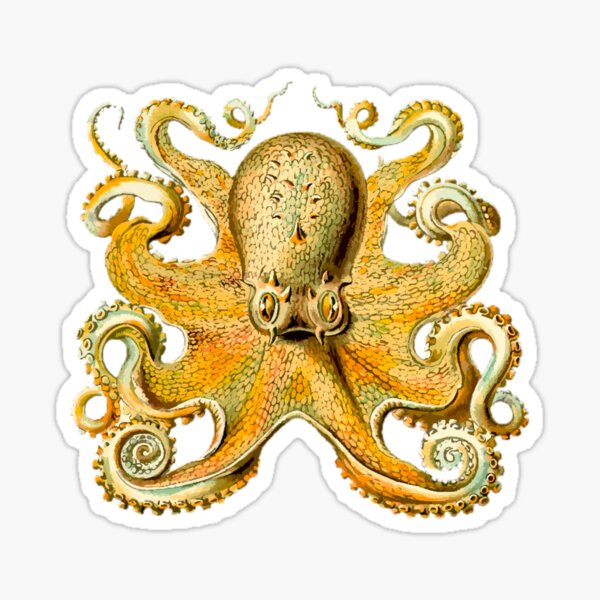"Angry Octopus" Sticker for Sale by SwimSashimi | Redbubble
