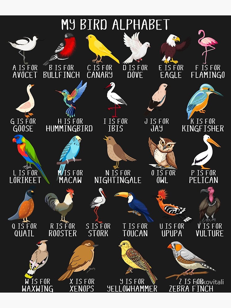 "Types Of Birds Alphabet A-Z ABC Bird Nerd" Poster for Sale by ...