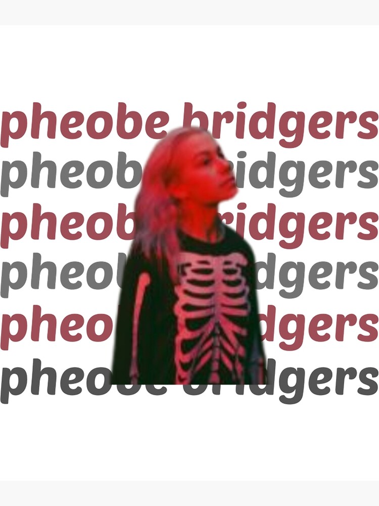 "phoebe bridgers-pheobe bridgers " Poster for Sale by dazycity | Redbubble