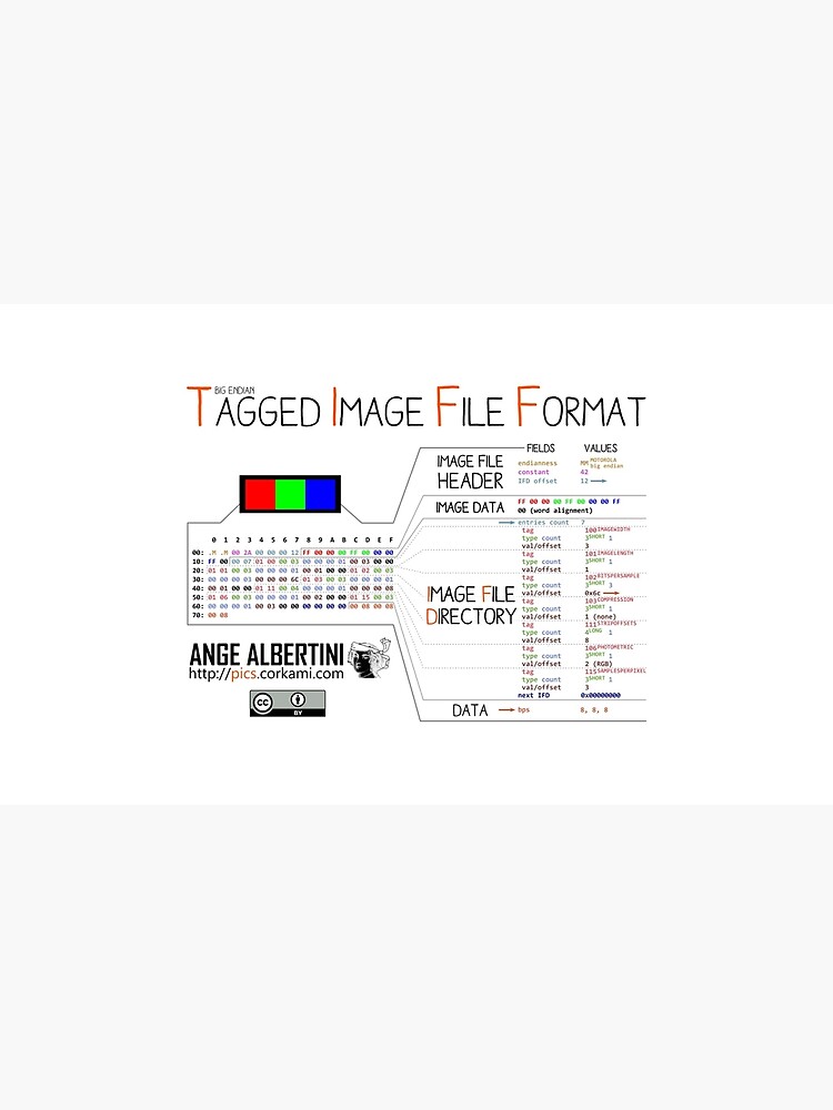 ".TIFF : Tagged Image File Format (big endian)" Mug by Ange4771 | Redbubble