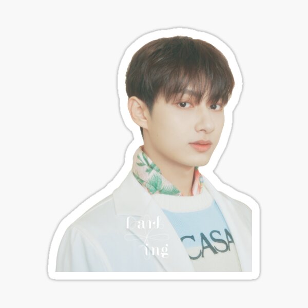 "Jun Darling Teaser Designs | Seventeen" Sticker for Sale by CrownMaru ...