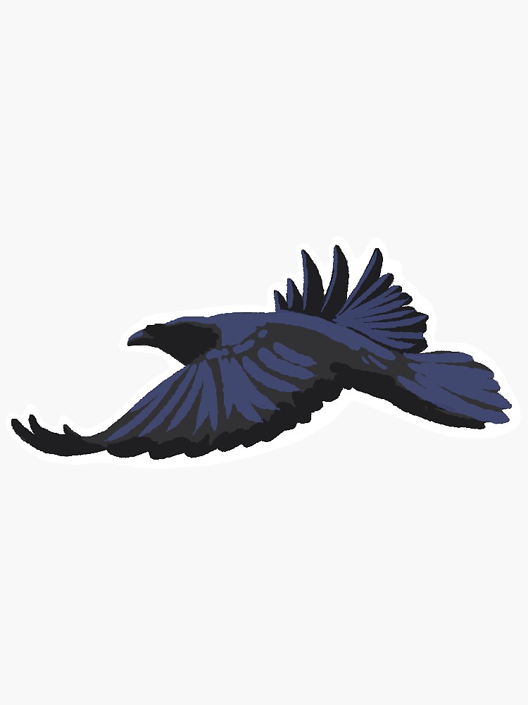 "Hand Drawn Raven in Flight" Sticker for Sale by Renyx | Redbubble