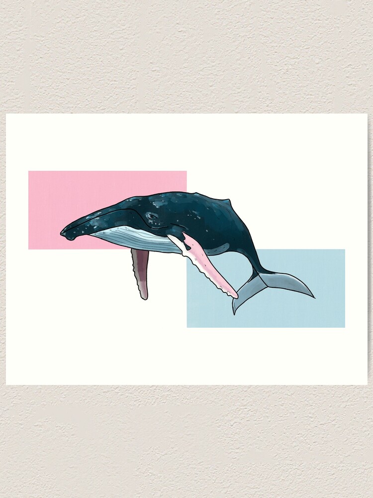 "Transgender whale trans pride flag " Art Print for Sale by ...