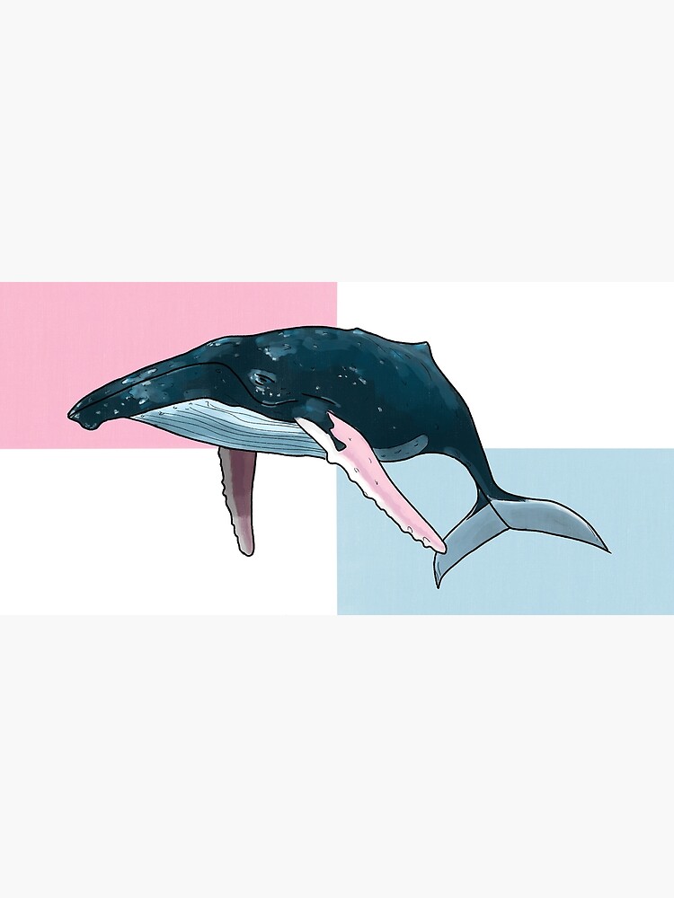 "Transgender whale trans pride flag " Art Print for Sale by ...