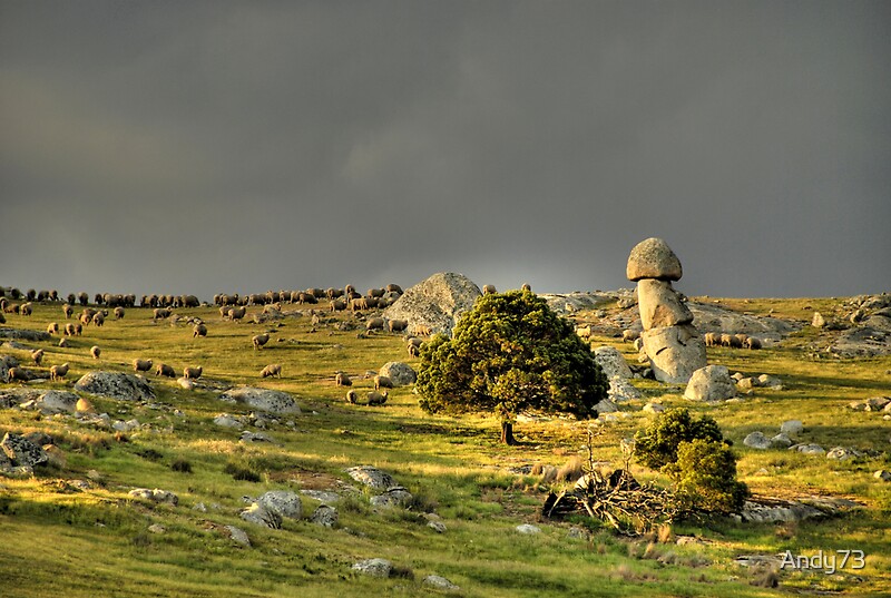 "Fertility Rock" by Andy73 | Redbubble