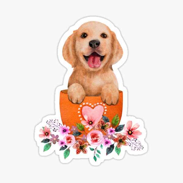 "Golden Retriever Puppy in a Pot" Sticker by MyStickerStudio | Redbubble