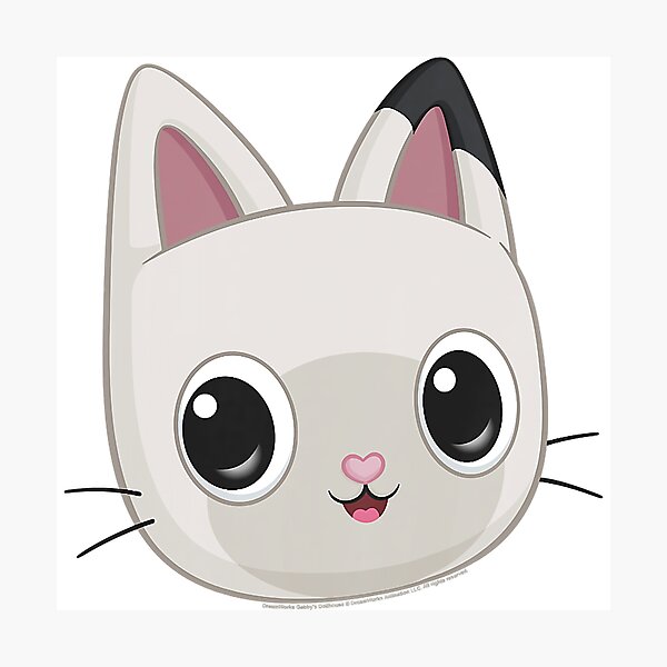 "Gabby's Dollhouse Pandy Paws Big Face" Photographic Print for Sale by ...