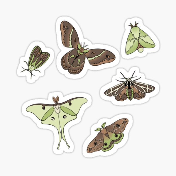 "Pretty Moths - Green & Brown" Sticker by swarmsoflizards | Redbubble