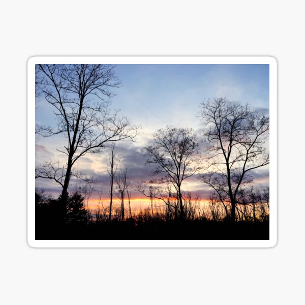 "Decay" Sticker by enigmaticprints | Redbubble