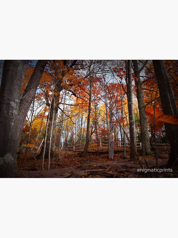 "Path" Sticker by enigmaticprints | Redbubble