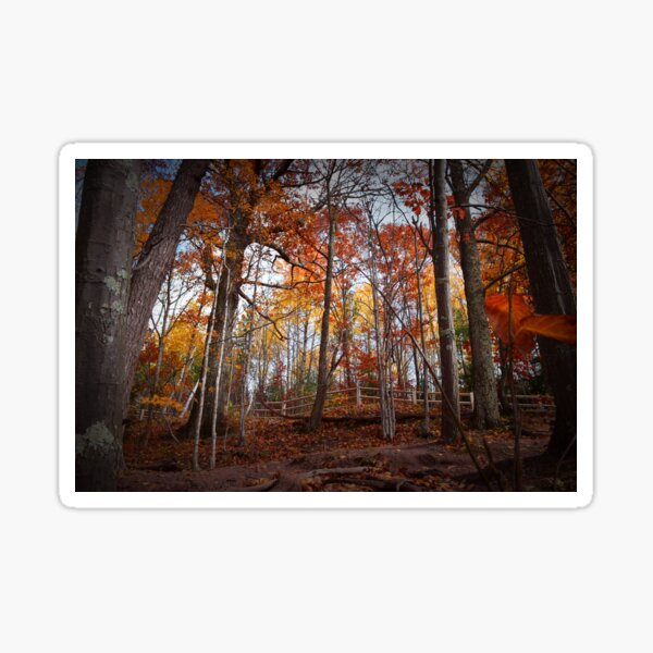 "Path" Sticker by enigmaticprints | Redbubble