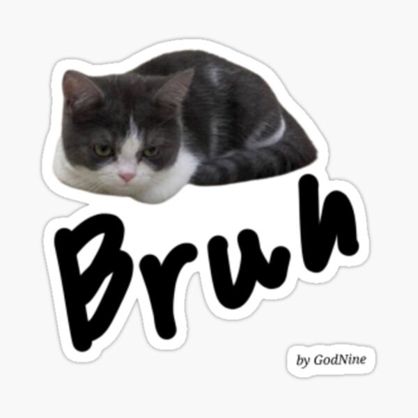 "Meme cat bruh" Sticker by Godnine | Redbubble